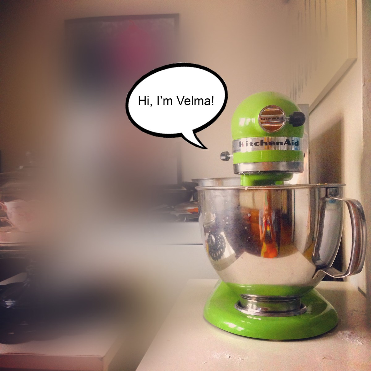 Meet Velma – Adventures with Velma